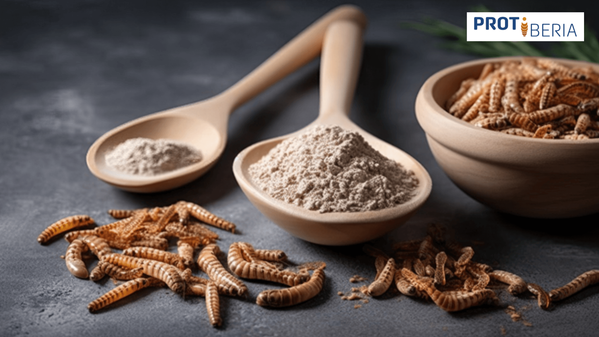 Harina de Tenebrio molitor, ¿nuevo ingrediente?