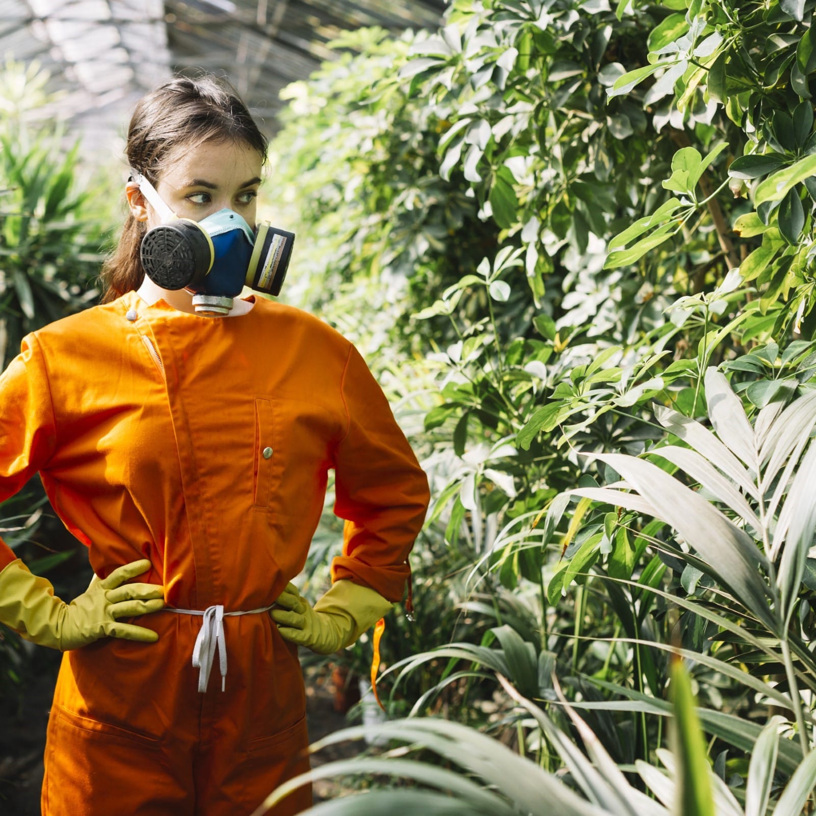 The importance of chitin in agriculture