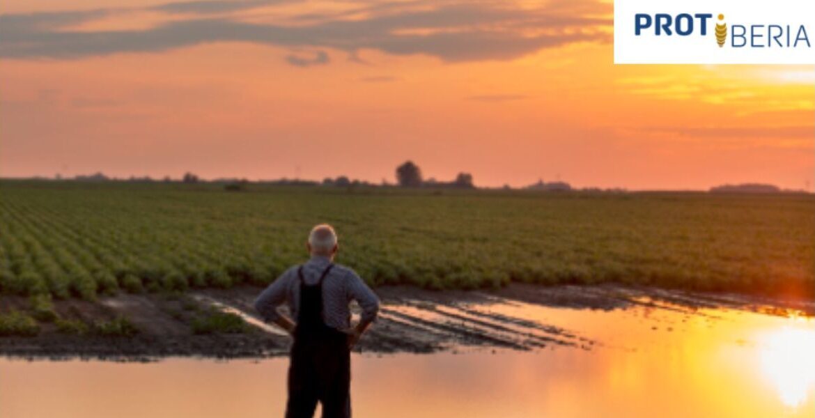 Insectos y biodiversidad: claves para la sostenibilidad agrícola
