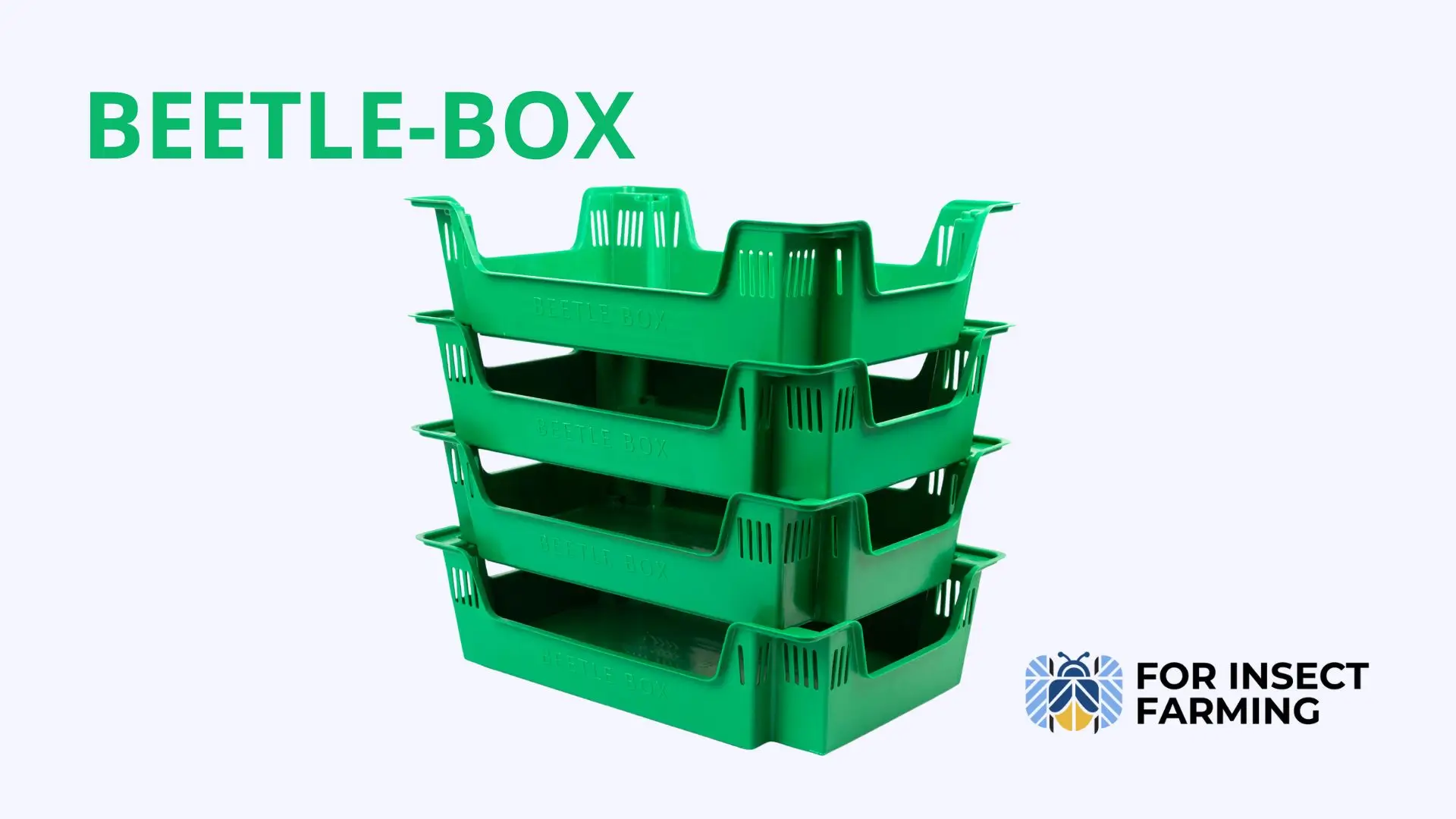 Beetle-Box: Rearing Trays for Industrial Mealworm Farming